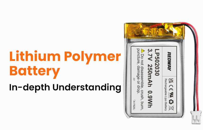 Lithium Polymer Battery In-depth Understanding Redway Power™