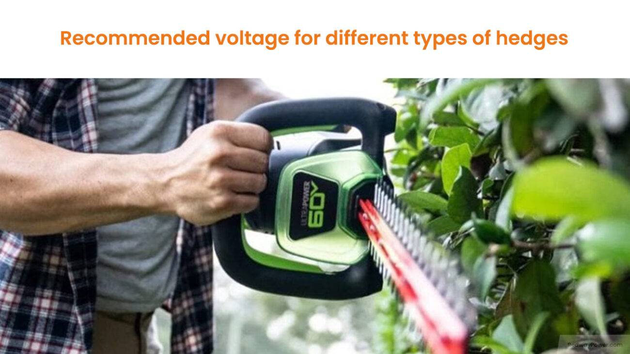 What is the best voltage for a cordless hedge trimmer?