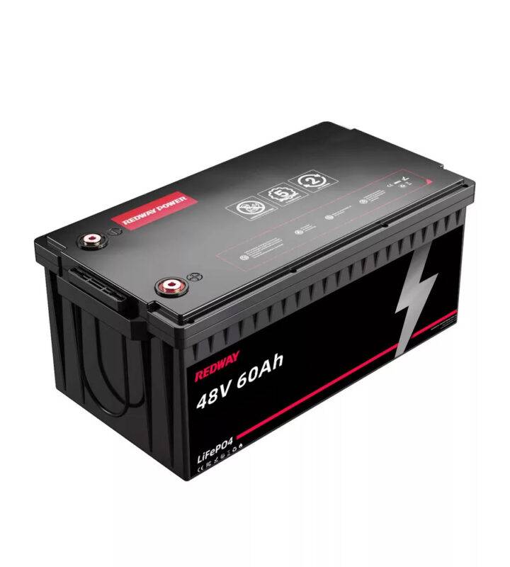 Batteria al litio da 48 V 60 Ah, produttore di batterie al litio 8D