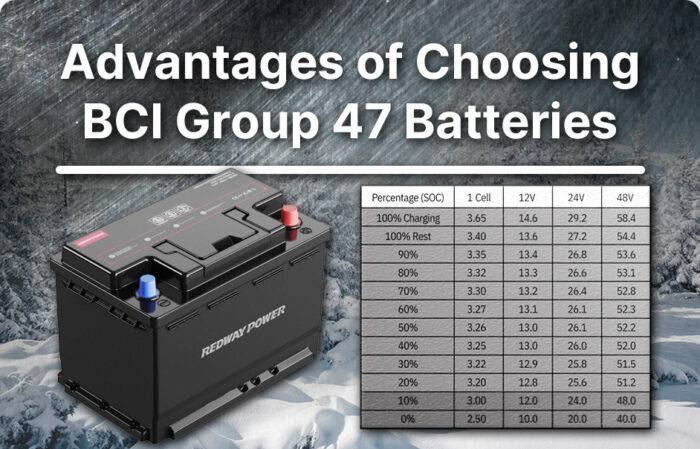 BCI Group 47 (H5, L2, 55L2) Batteries, The Complete Guide