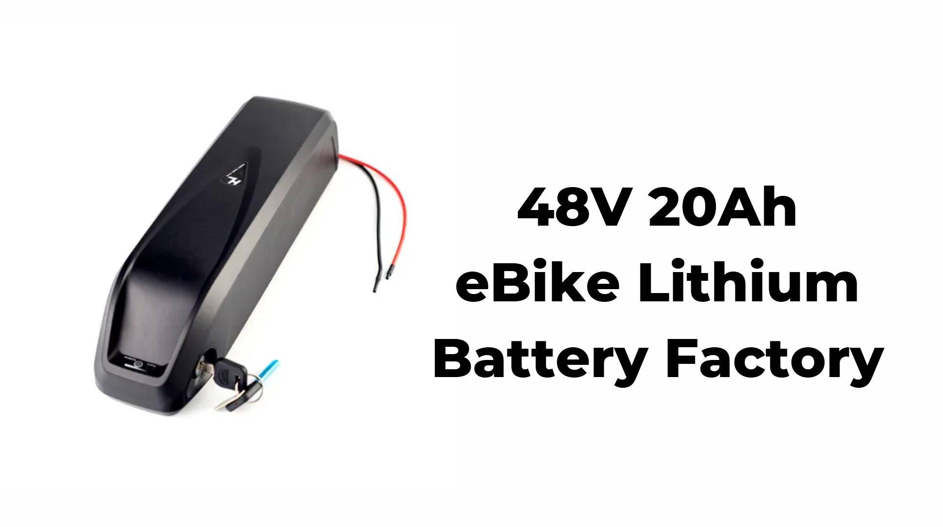 How Long Will a 48V 20Ah Battery Last? Comprehensive Guide and Insights - Redway Power™