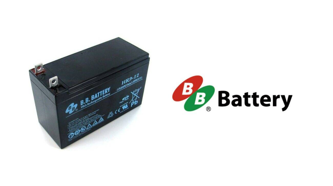What You Need to Know About BB Batteries and Their Uses - Redway Power™